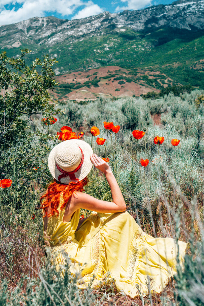 Beautiful Wildflowers in Utah | Poppy Flower Fields
