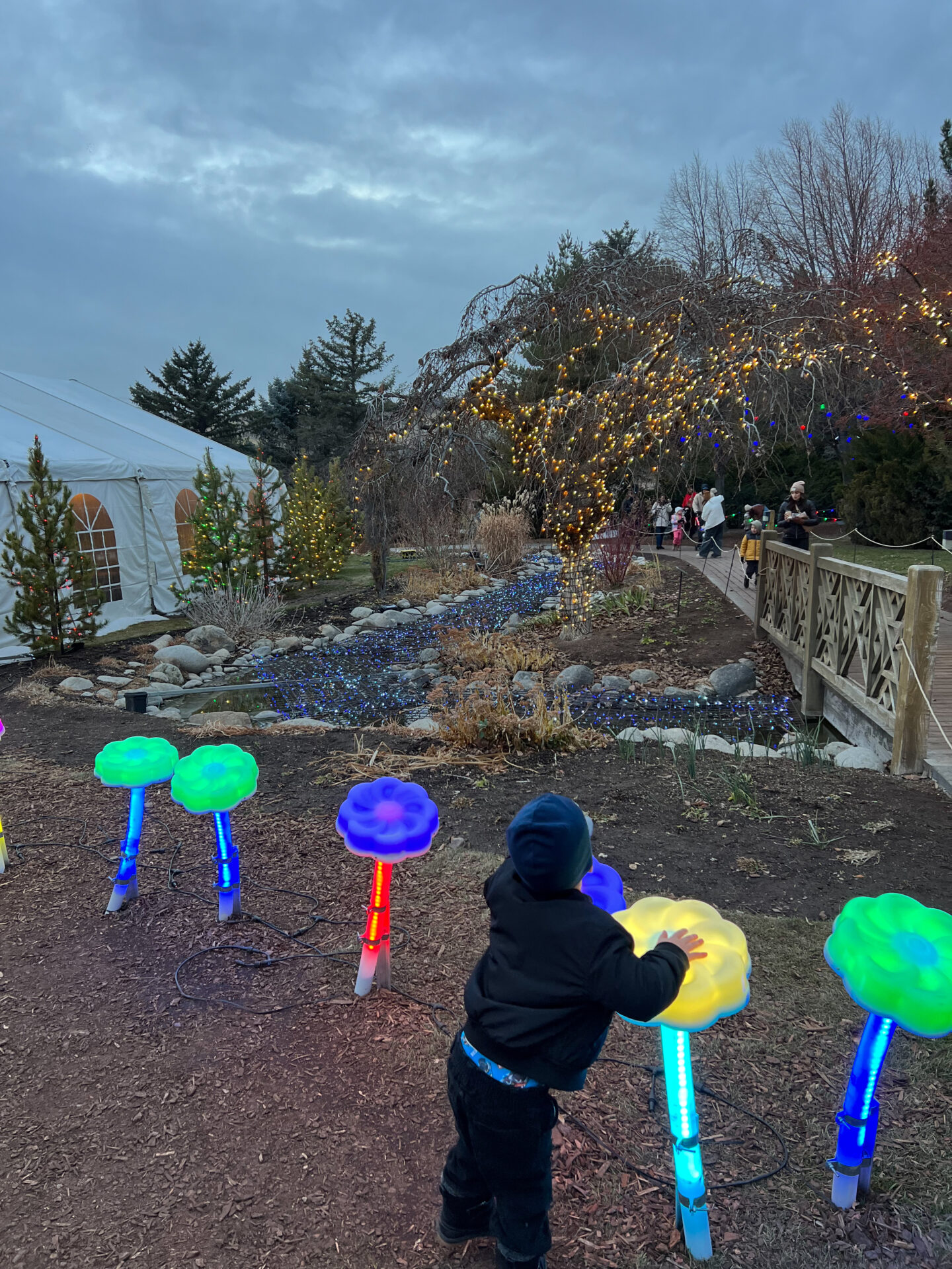 20 Top Activities for Christmas in Utah Winter