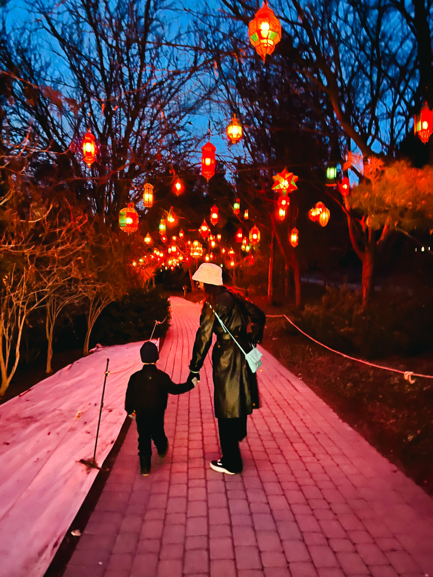 20 Top Activities for Christmas in Utah Winter