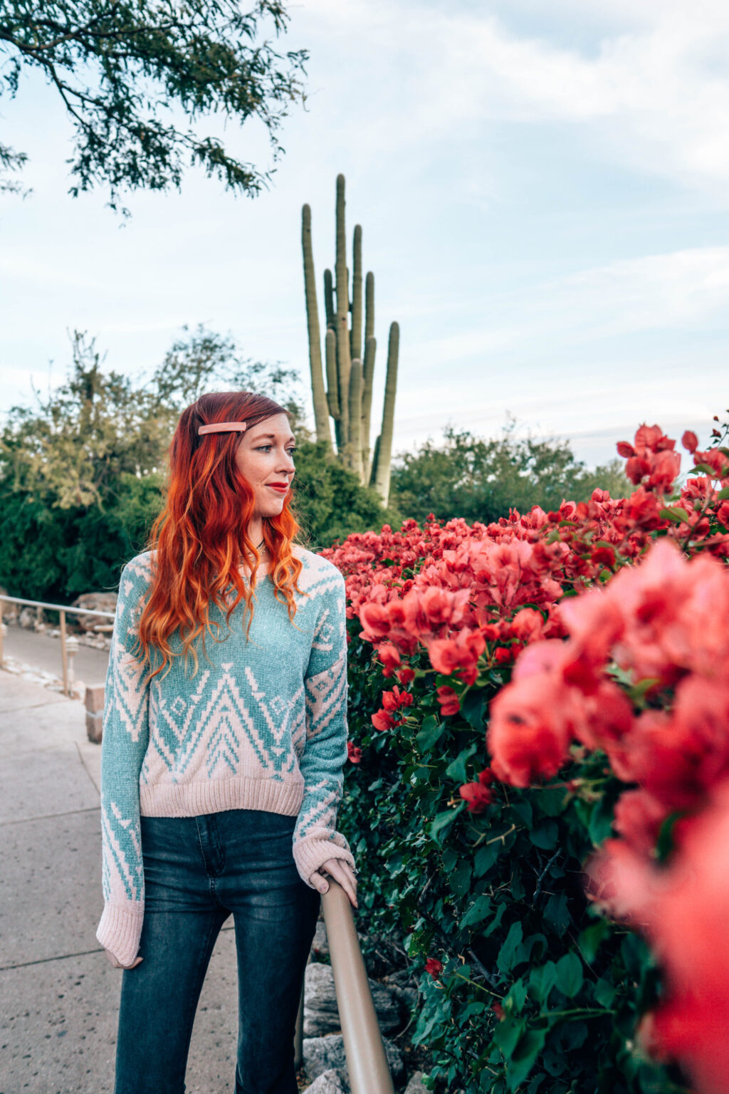 20 Fun Things to do in Tucson With Kids | Arizona