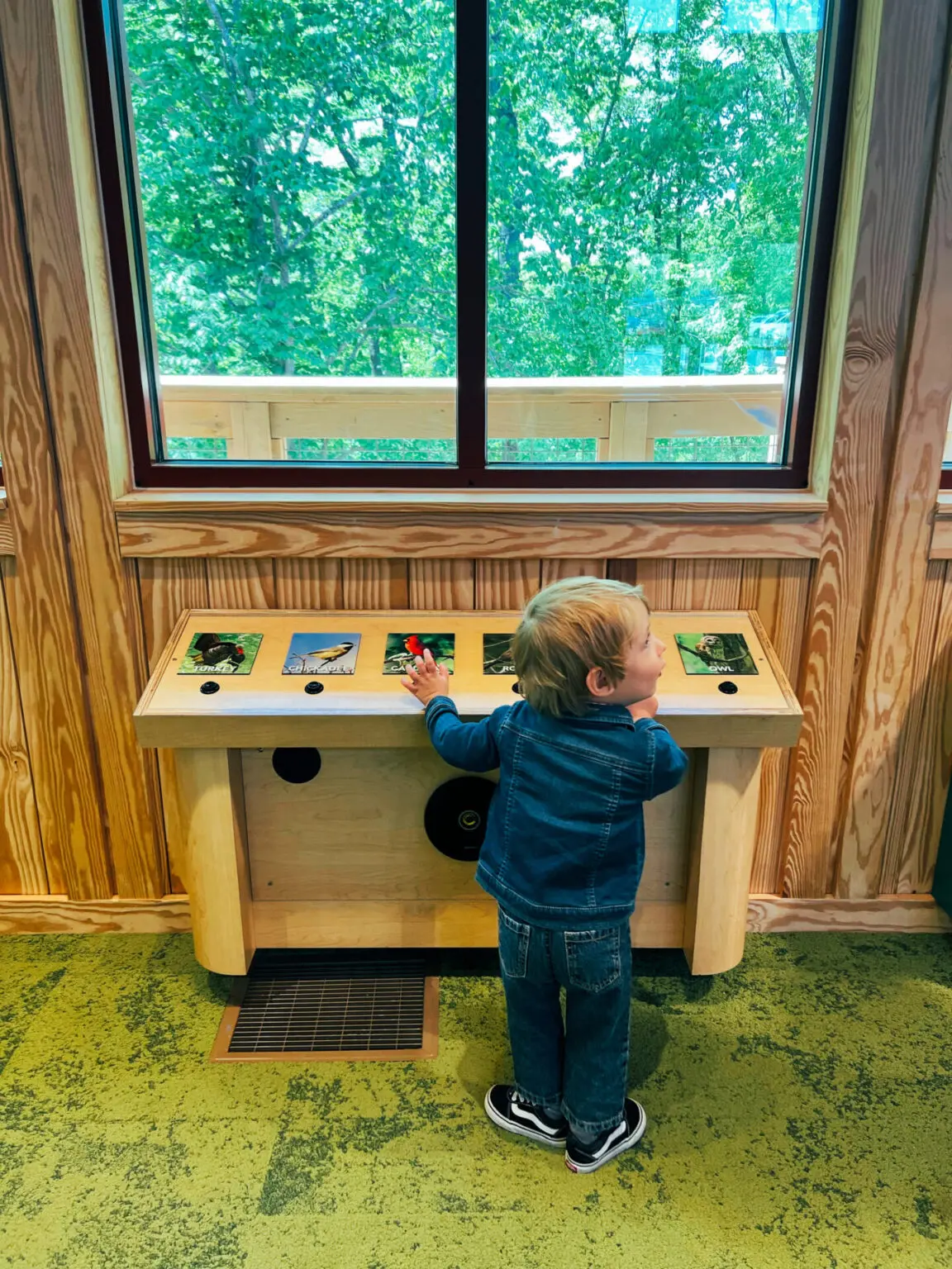 10 Fun Things to do in Clarksville, TN