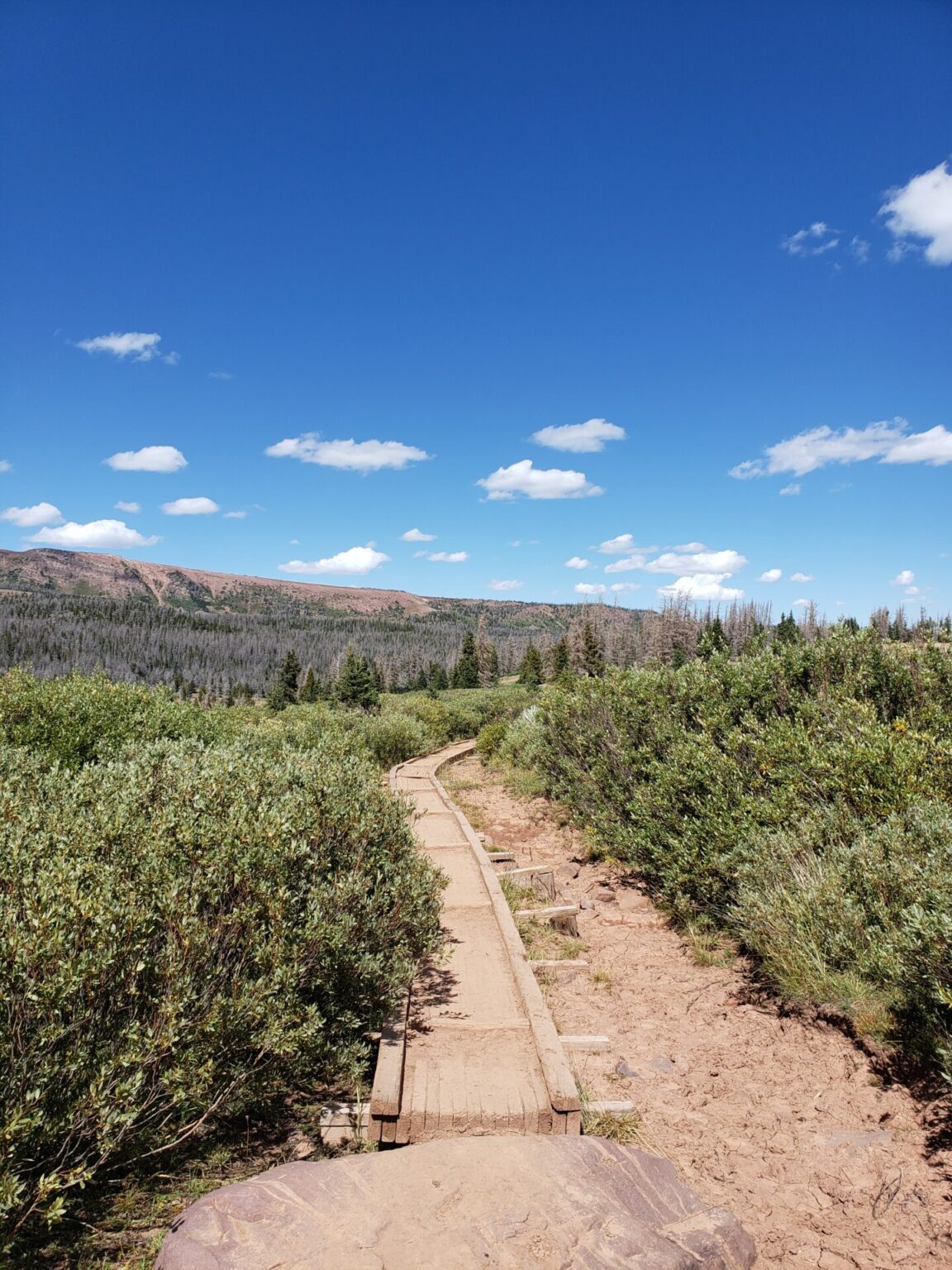 Hiking Kings Peak: The #1 Highest Peak in Utah