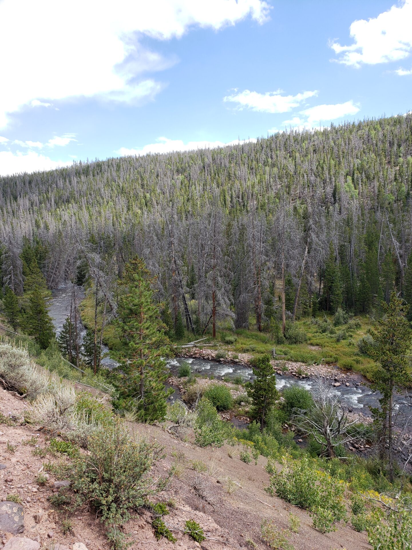 Hiking Kings Peak: The #1 Highest Peak in Utah